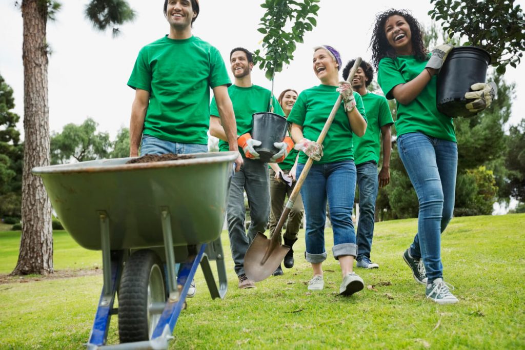 Home - American Gardens Landscaping